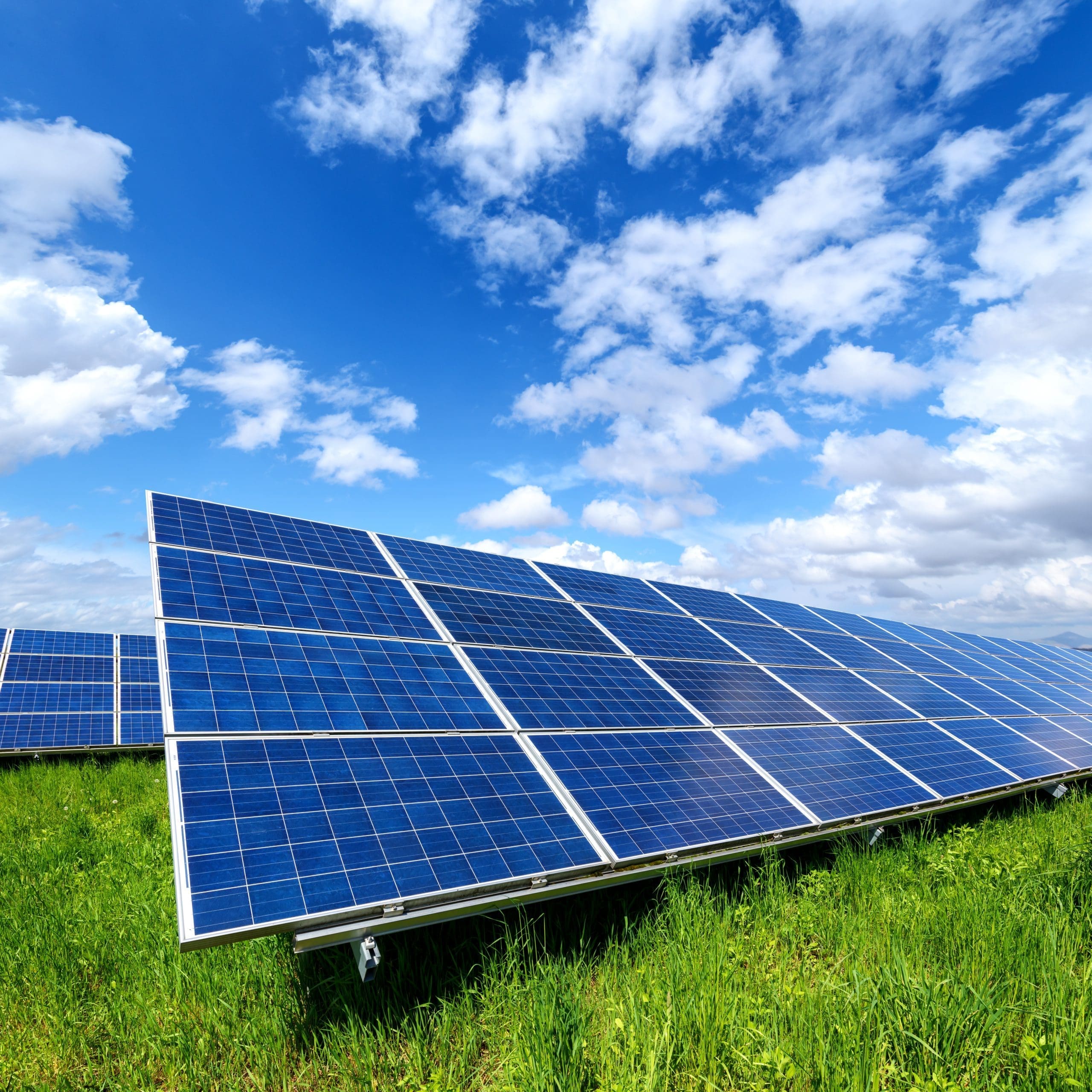 Trusted Solar Panel Installer in Hampshire | Tile Energy